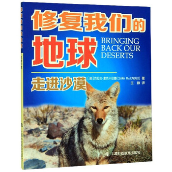 走进沙漠