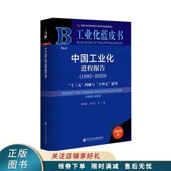 中国工业化进程报告1995-2020十三五回顾与十四五展望