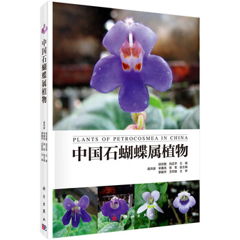 中国石蝴蝶属植物