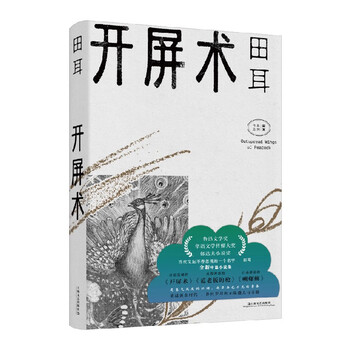 开屏术（田耳作品）