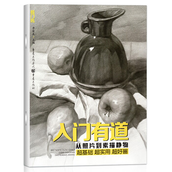 正版入门有道 从照片到素描静物 素描静物单个组合体基础结构组合范画临摹范本 重庆亿卷 美术高考联考艺术绘画教程教材书籍