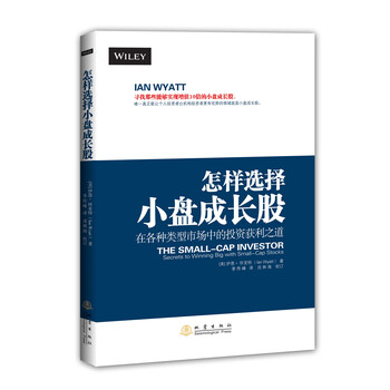 怎样选择小盘成长股