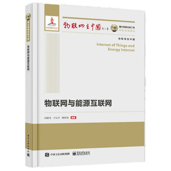 国之重器出版工程 物联网与能源互联网