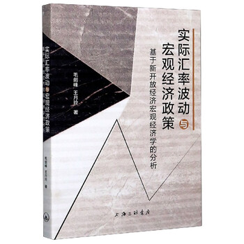 实际汇率波动与宏观经济政策(基于新开放经济宏观经济学的分析)
