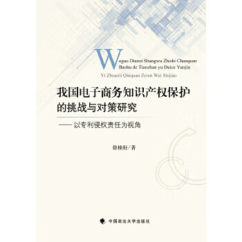我国电子商务知识产权保护的挑战与对策研究 徐楠轩 中国政法大学出版社