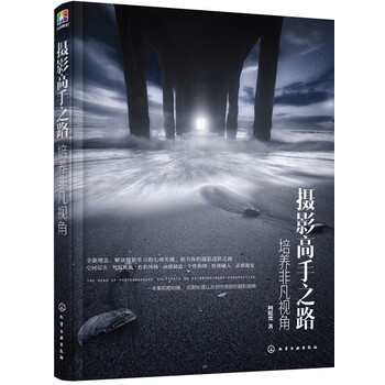 摄影高手之路:培养非凡视角【正版图书】
