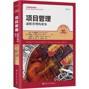 项目管理 战略管理的视角 第10版 书籍