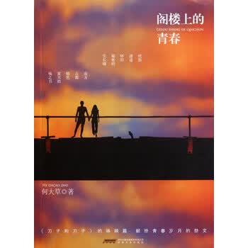 阁楼上的青春 何大草 安徽文艺出版社