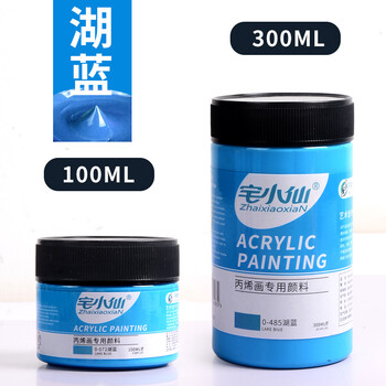 丙烯颜料防水手绘画材料diy墙绘彩绘工具24色画鞋子12色300ml白色炳稀染料不掉色儿童涂鸦丙 湖蓝 100ml