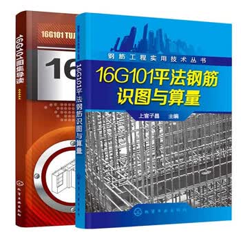 钢筋工程实用技术丛书--16G101平法钢筋识图与算量 16G101 图集导读 化学工业出版社