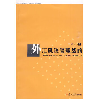 外汇风险管理战略【正版图书】
