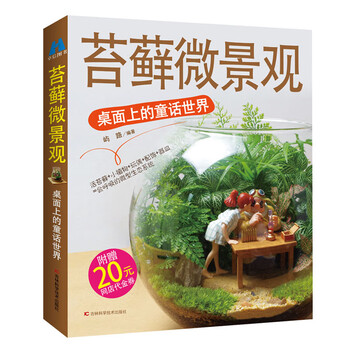 苔藓微景观:桌面上的童话世界