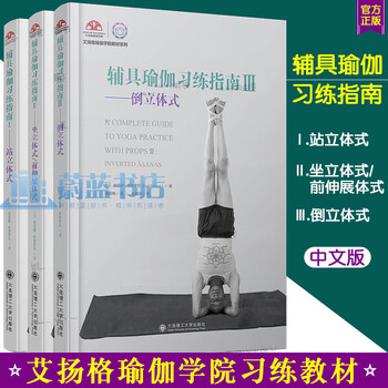 辅具瑜伽习练指南123 中文版共3本站立体式+坐立体式+倒立体式 艾扬格瑜伽学院习练教材瑜伽从新
