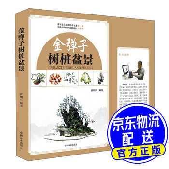 金弹子树桩盆景