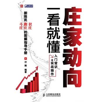 庄家动向一看就懂 付刚著 人民邮电出版社