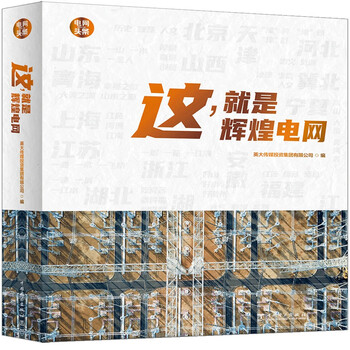 这，就是辉煌电网