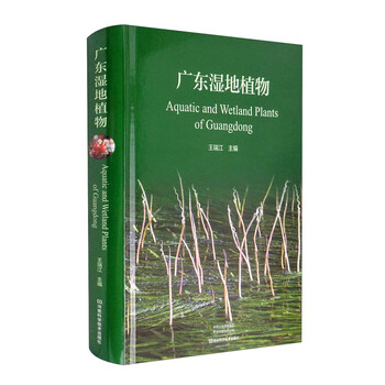 广东湿地植物