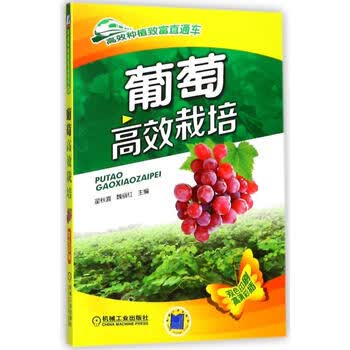葡萄高效栽培