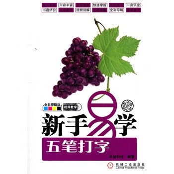 新手易学—五笔打字 华诚科技著 机械工业出版社
