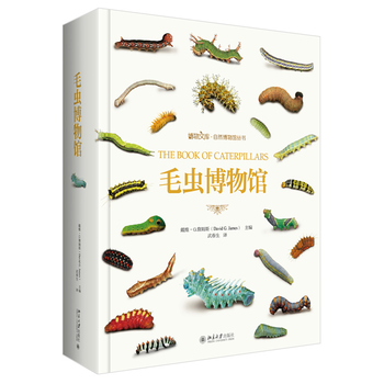 毛虫博物馆 博物文库 自然博物馆丛书 北京大学出版社
