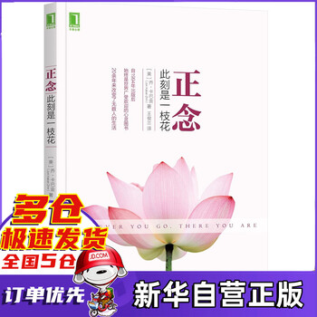 正念：此刻是一枝花 (美)乔·卡巴金