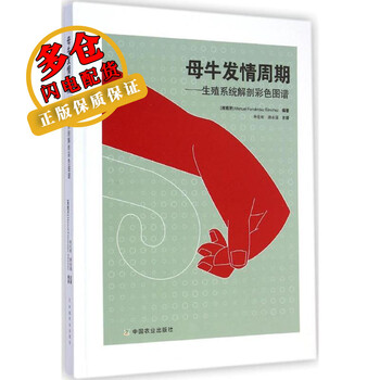 母牛发情周期