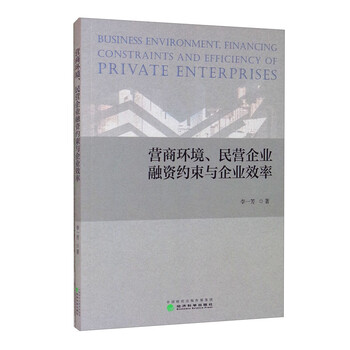 营商环境、民营企业融资约束与企业效率