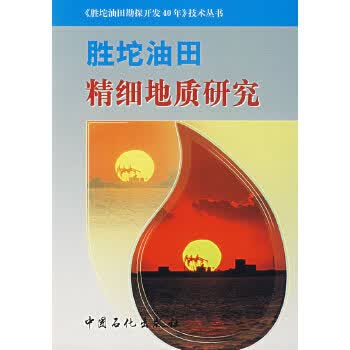 胜坨油田精细地质研究【正版图书】
