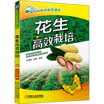 花生高效栽培
