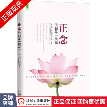 现货包邮 正念：此刻是一枝花 正能量书籍8079698