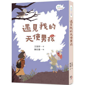 预售 王家珍 遇见我的天使男孩 字亩文化