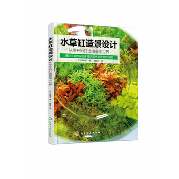 水草缸造景设计：从零开始打造唯美水世界