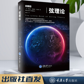 弦理论 古布泽著 自然科学科普读物科学世界 超弦理论书籍 弦理论