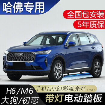 特斯顿（SAMWASTON）哈佛枭龙MAX汽车电动脚踏板二代大狗H6coupe酷派适用长城迎宾赤兔 【灯光升级】 哈弗二代大狗【图片 价格 品牌 报价】-京东