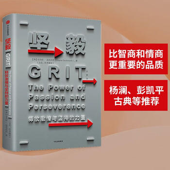 坚毅 释放激情与坚持的力量 中信出版社