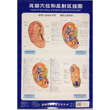 耳部穴位和反射区挂图【正版图书】