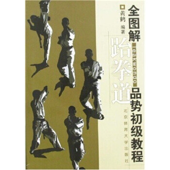 全图解跆拳道品势初级教程【正版图书】