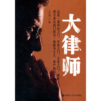大律师 王从学 内蒙古文化出版社