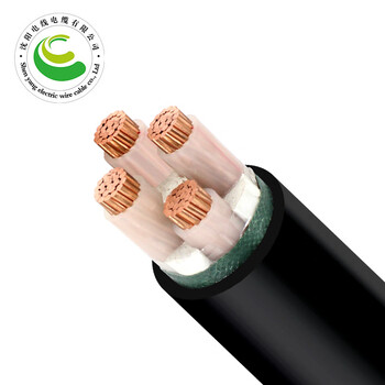 【沈阳电线电缆有限公司ZR-YJV-0.6/1KV-4*25mm²】沈阳电线电缆有限公司-ZR-YJV-0.6/1KV-4*25mm²国标铜芯电线电缆 1米【行情 报价 价格 评测】-京东