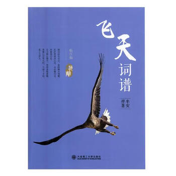 飞天词谱 摄影 书籍 分类 分类摄影