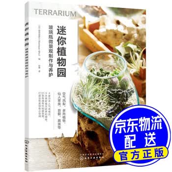 治愈系微景观 适合花店出售 也适合在家diy