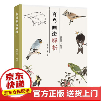 百鸟画法解析【以所选系列为准】