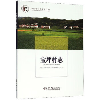 宝坪村志 中国名村志文化工程【正版图书】