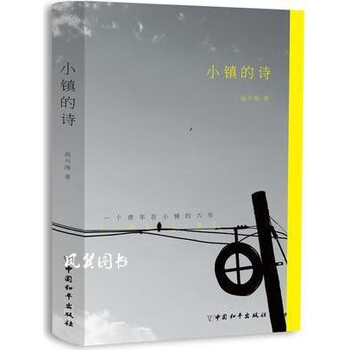 小镇的诗 高兴涛 中国和平出版社