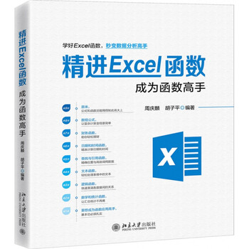 精进Excel函数：成为函数高手 北京大学旗舰店正版