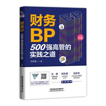 财务BP:500强高管的实践之道