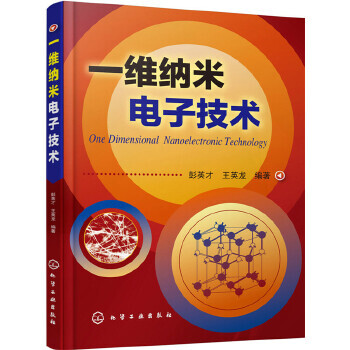 一维纳米电子技术