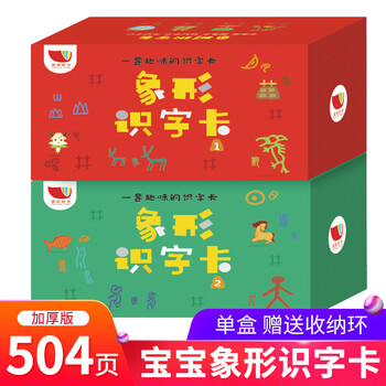 识字卡3000字幼儿园启蒙认字书2-3-6岁宝宝看图认字儿童早教卡片 绿盒504页