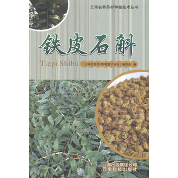 铁皮石斛 《云南名特药材种植技术丛书》编委会 云南科学技术
