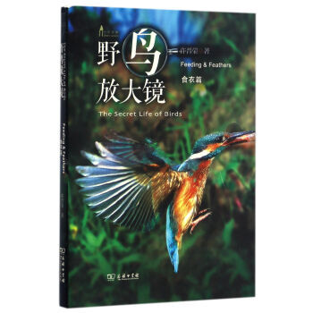 野鸟放大镜 食衣篇 许晋荣